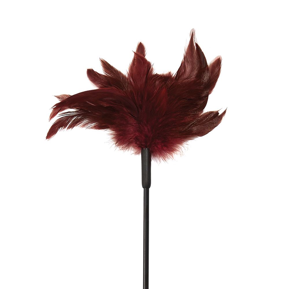 S&M Enchanted Feather Tickler – Adult Sex Toys, Intimate Supplies, Sexual Wellness, Online Sex ...